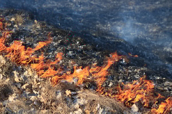 8 Industrial Cleaning Tips For A Safer Workplace