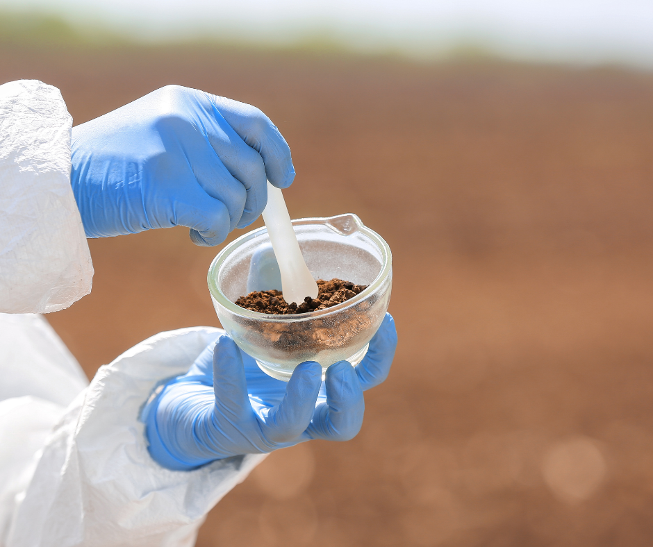 Soil Contamination Testing Near Me: Where To Get Help
